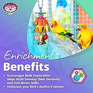 Super Bird Creations SB1086 Having a Ball Bird Toy, Small/Medium Bird Size, 6" x 2" x 2"