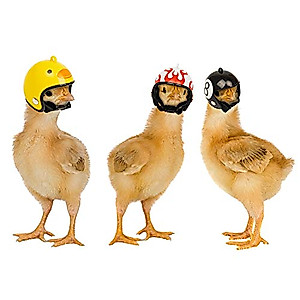 Genriq 10PCS Chicken Helmet - Chicken Bird Toy Head Protection Helmet Bird Hat Headwear Suitable for Parrot Small Chickens, Ducks and Other Poultry Funny Pet Safety Helmet Costumes Accessories