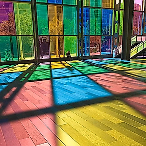 Vanhench Red Cellophane Wrap, 16" x 100' 3Mil Flower Wrapping Paper, Floral Wrap Paper for Bouquet Packaging, Waterproof Flower Wrap for Birthday, Wedding, Valentines Day, Easter Gift Basket for Gifts