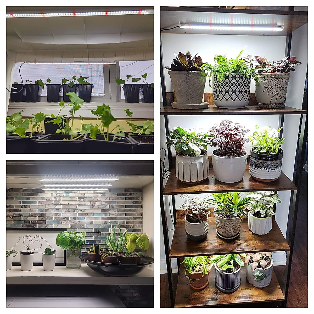 Wiaxulay LED Plant Grow Light Strips, 6000K Full Spectrum Grow Lights for Indoor Plants, Sunlike Growing Lamp with 6/12/16H Timer, 5 Dimmable Levels for Hydroponics Succulent, Plant Shelf, 2 Packs