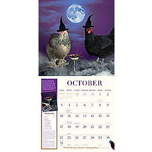 Drinking with Chickens Wall Calendar 2021