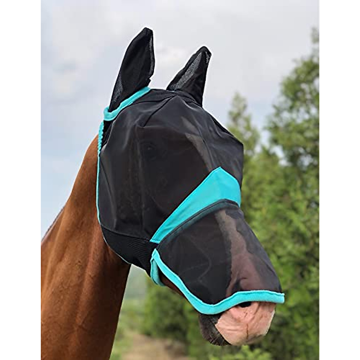 TGW RIDING Horse Mask Full Face Mesh Mask Fine Mesh with Ears and Long Nose (Cob, Black/Turquoise)
