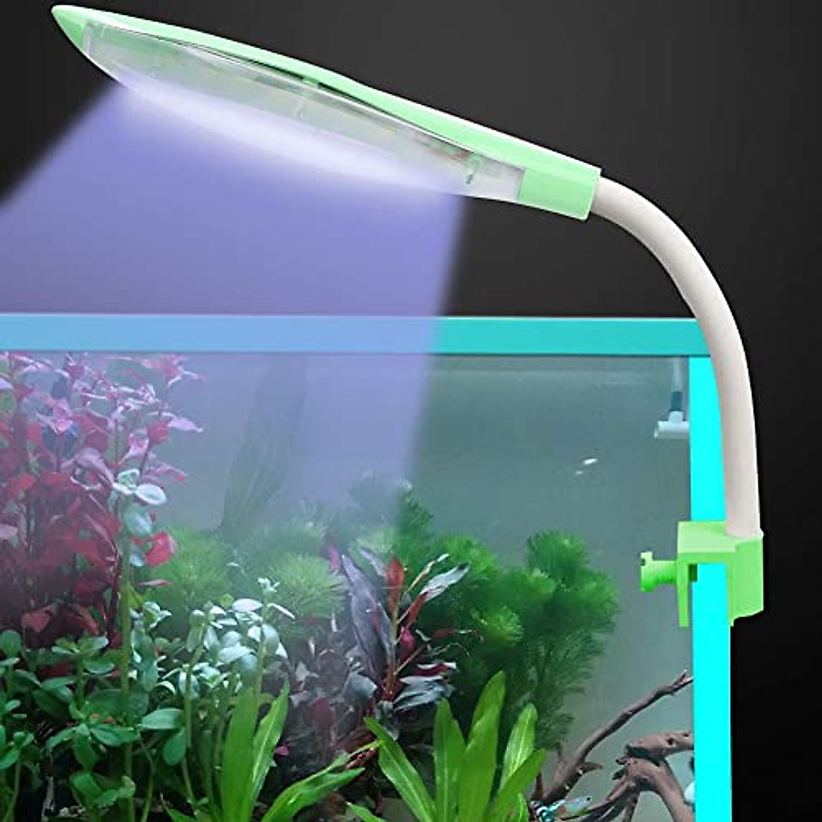 Aquarium Mini USB Lamp Tortoise Fish Tank Aquarium LED Clip On Leaf Head Light for Aquatic Plant Growing with US Plug(Blue White Light-Green)