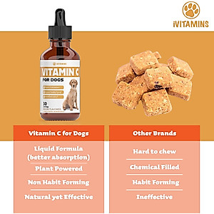Vitamin C for Dogs | Helps with Improving Immune Health | Vitamin C for Dogs Liquid | Dog Immune Support | Dog Immune and Allergy Supplement | Dog Immune Booster | 1 oz Bacon Flavor