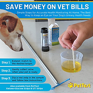 PetTest i-Catch Telescoping Dog Urine Catcher - 45-inch Extendable Dog Pee Stick Collector and Telescopic Pole Handle for Small and Large Breeds - Includes a Reusable Cup with Milliliter Markings