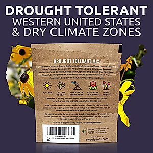 Sweet Yards Seed Co. Drought Tolerant Wildflowers Mix – Extra Large Packet – Over 7,500 Open Pollinated Non-GMO Seeds – 21 Different Dryland Species!