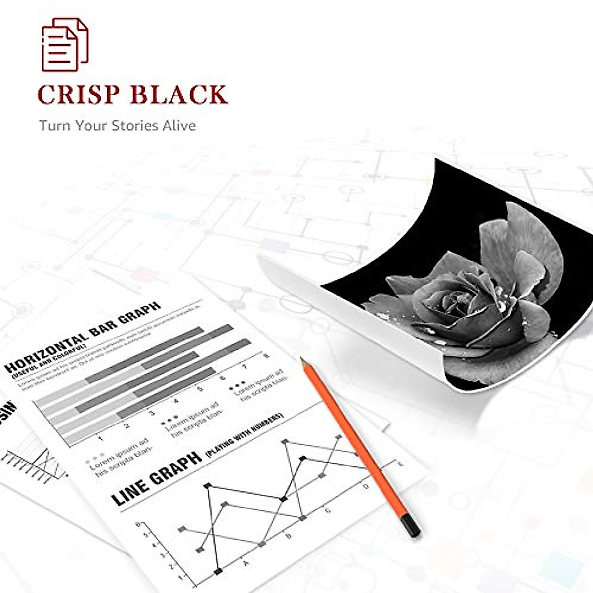 Toner Kingdom Compatible Toner Cartridge Replacement for Canon 137 CRG137 ImageClass D570 MF236n LBP151dw MF247dw MF249dw MF232w MF242dw MF244dw MF216n MF227dw MF212w Laser Printer Ink(Black, 2-Pack)