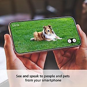 Blink Mini 2 (Newest Model) + Weather Resistant Adapter — Indoor/Outdoor Home Security & Pet Camera(s) with HD video, motion detection, and built-in spotlight — 2 cameras (Black)
