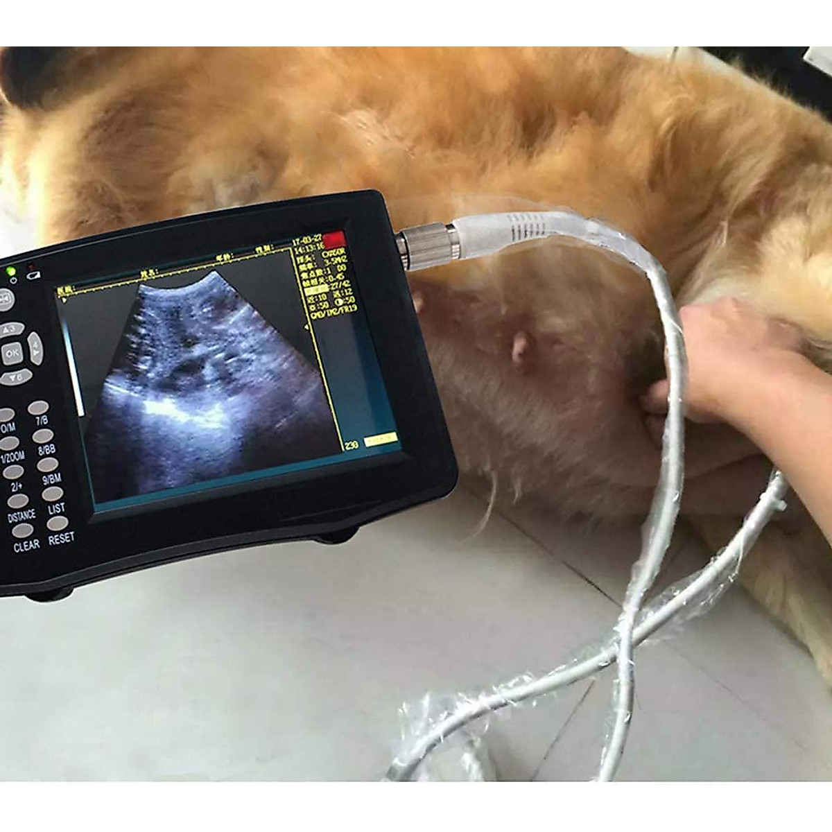 JeeKoudy Veterinary Ultrasound Scanner Machine, Handscan Vet Smart B-Ultrasound Machine Rechargeable Machine for Pig Horse Cow Pregnancy Animals Pets