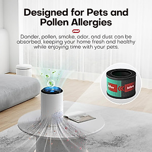 2 Pack MK01 MK06 TZ-K1 Air Filter Replacement Compatible with AROEVE MK01 MK06 MG01JH, MJ012H, ToLife TZ-K1, FreAire HAP601 KN6391RGB Air Purifier, 4-in-1 High-Efficiency H13 HEPA, Pet Dander Version