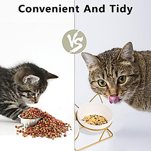 Wedding Pails Elevated Cat Bowls with 3 Ceramic Bowls,5 inches Food & Water Bowls 15° Tilted Raised Feeding Dishes with Metal Stand for Multiple Cats Dog Pet, Gold