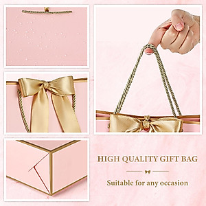 JMANNI Gift Bags, Small Gift Bags, 2Pcs Paper Gift Bag with 4 Tissue Paper and 2 Greeting Cards, Present Bags with Handles for Women Girls Bridesmaid Birthday Valentines Wedding Party (Pink-Golden)
