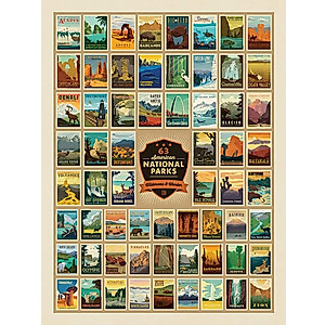 Riley Blake National Parks Wilderness Wonders Panel 54' x 72", Fabric by the Yard