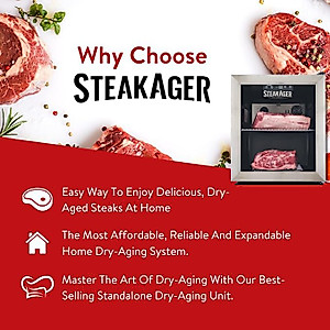 SteakAger PRO 20 Starter Pack - Home Beef Dry Aging Refrigerator, Enjoy Dry-Aged Steak Perfection at Home, Black and Stainless Steel with 20Lbs Capacity