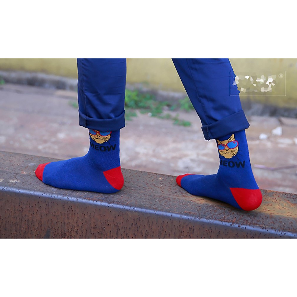 Wish Island Men's 5 Packs Animal Socks Cat Gifts Cute Fun Crazy Cotton Casual Crew Socks (Cat)