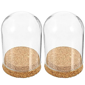 GANAZONO 2Sets Glass Display Dome Cloche Tabletop Display Case with Cork Base DIY Snow Globe for Office Home Halloween Christmas Wedding Tabletop Centerpiece Decoration