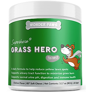 Wonder Paws Grass Hero, Grass Burn Spot Chews – Neutralizes Urine to Prevent Yellow Lawn Spots – Dog Pee Lawn Saver, Spot Treatment & Urinary Health – Cranberry & Methionine – 60 Soft Chews