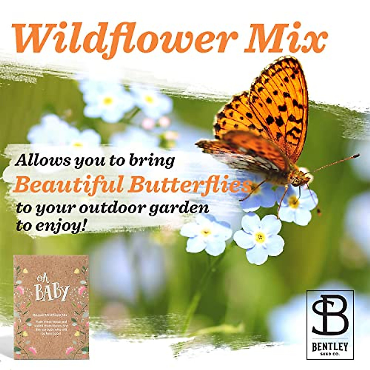 BENTLEY SEED CO. Oh Baby Flower Seeds Packets - Girl/Boy Baby Shower Favors - Pre-Filled, 25 Wildflower Seed Packs for Favor - Eco-Friendly Gift & Babys Guest Giveaways - Non-GMO Seeds - Brown Envelop