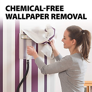 Wagner Spraytech 0282036 715 Power Steamer, Chemical Free Wallpaper Remover, Two Steam Plates Included, Long Run Time, Lightweight Design, Wallpaper Steamer