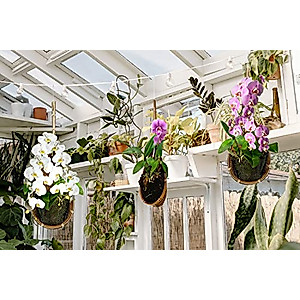 PANWA Handmade 100% Thai Bamboo Woven 4 Inch Hanging Orchid Basket - Set of 3 Multi-Purpose Bird Nest Style Plant Hangers for Gazebo - Indoor/Outdoor Flower Planter (Natural Brown)