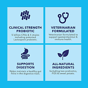 Glandex for Dogs Anal Gland Support Chews 30 Ct and Profivex 5-Strain Chews 30 Ct Bundle, Anal Gland Supplement for Dogs, Hickory Pork Flavor 5-Strain Clinical-Strength Digestive Probiotics for Dogs