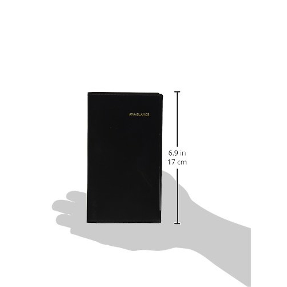 At-A-Glance Deluxe Pocket Monthly Planner (AAG7006405)