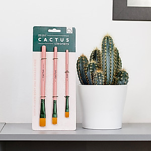 Bubblegum Stuff Mini Cactus Cleaners - Cleaning Brush Set - Brush Cleaner and Sweeper for Cactus - 3 Cleaning Brushes for Cactuses…