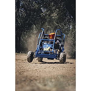 Coleman Powersports Off Road Go Kart, Gas Powered, 196cc/6.5hp(KT196-BL), Large, Blue
