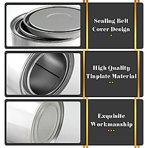 Bonsicoky 8 Pcs Empty Metal Paint Cans with Lids, Tiny Empty Unlined Cans Storage Containers for Paint(0.5 Pint/250ml)