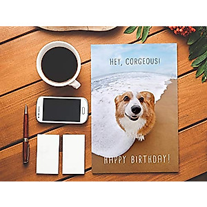 Maplelon Corgi Birthday Card, Corgeous Dog Bday Card for Husband Boyfriend Friend Corgi Lover, Funny Card