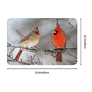 Bath Rugs Cute Cardinal Birds Standing on Branches Door Mat Outdoor Winter Birds Natural Design Doormat Non Slip Absorbent Bathroom Rug Carpet for Home Entrance Kitchen 16x24in