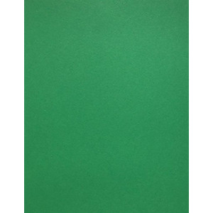Green Cardstock Paper - 8.5 x 11 inch - 65 lb. - 50 Sheets 100% Recycled Cover from Cardstock Warehouse