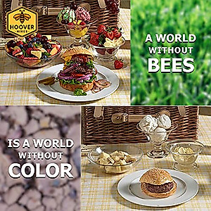 Hoover Hives 8 Frame Beehive Kit - Dipped in 100% Beeswax Includes Wooden Frames & Waxed Foundations (2 Deep Boxes, 1 Medium Box)