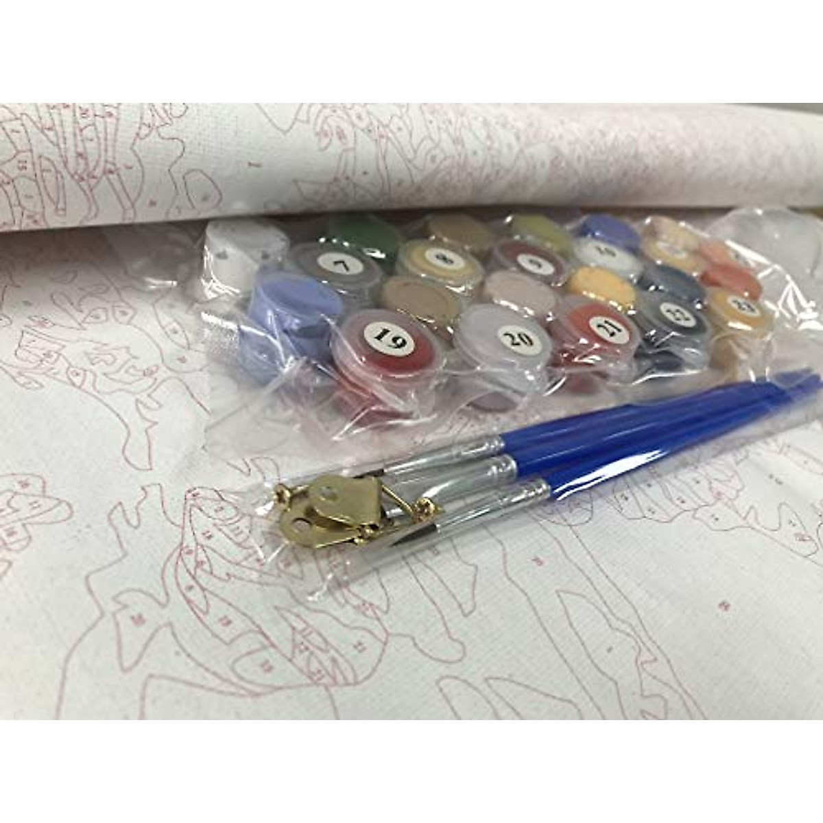 DIY Oil Canvas Painting, Paint by Numbers Kit, 16x20 inch with Brushes and Acrylic Pigment, Frameless, Flower Girl