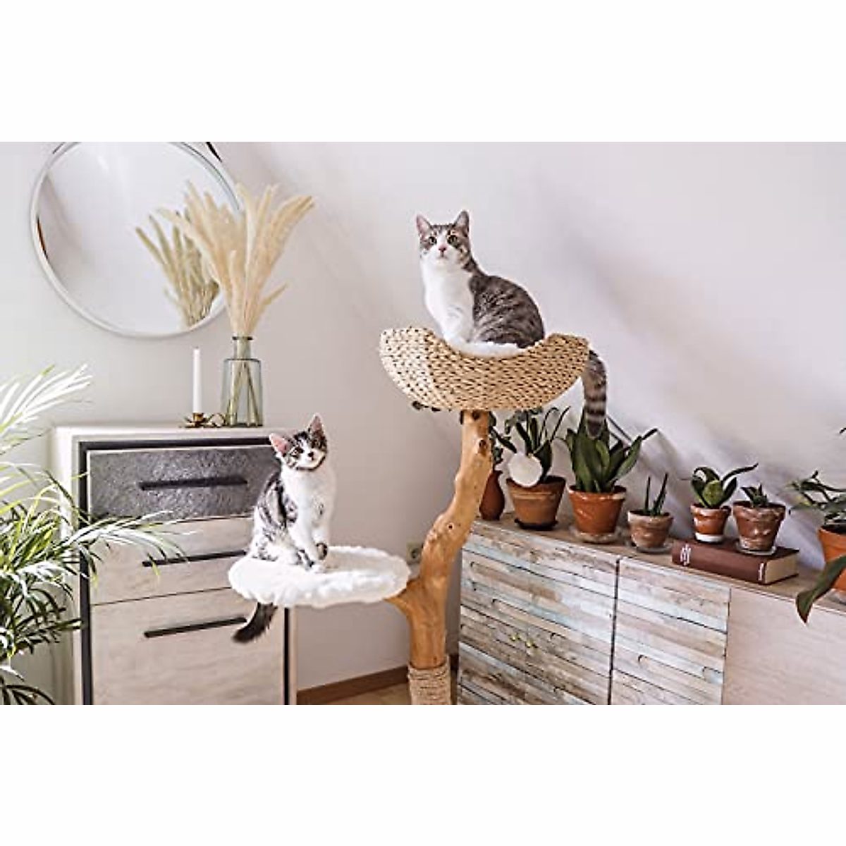 Wooden Cat Tree Tower, Modern Single Branch Cat Condo, Wood Cat Tree, Cat Climbing, Furniture for Cat, Cat Lover Gift, Cat Furniture,Cat Gift by MAU LIFESTYLE (Alpine White)