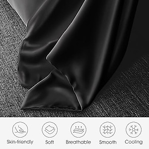 WLOSJ 100% Silk Pillow Cases 2 Pack Queen Size Mulberry Silk Pillowcase for Hair and Skin Set of 2 Highest Grade 6A Silk with Hidden Zipper, Black