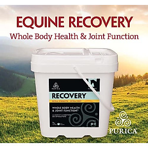 PURICA Equine Recovery Extra Strength (W/Ha) - 5kg/11 Lb