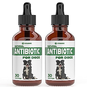Natural Antibiotics for Dogs | Dog Antibiotics | Supports Dog Allergy Relief | Dog Itch Relief | Dog Allergy Support | Dog Multivitamin | Pet Antibiotics | Dog Antibiotic | 2 Pack: 60 Servings Total