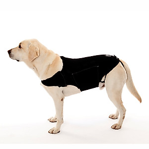 Company of Animals Anxiety Wrap, Black, Toy Sized