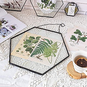 NCYP Side Length 6.8 inches Large Hanging Black Hexagon Herbarium Brass Glass Frame for Pressed Dried Flowers, Poster, Double Glass, Floating Frame Style, Glass Frame Only