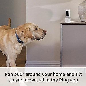 Ring Pan-Tilt Indoor Cam | See all around with 360° pan coverage, HD video, plus Two-Way Talk (2024 release) | White