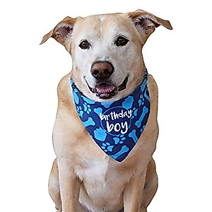 Dog Birthday Bandana - Boy