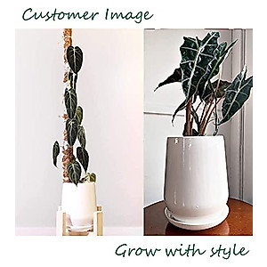 POTEY White Planter Pots for Plants Indoor - 5.3 Inch Glazed Ceramic Plant Pot with Drainage Hole & Saucer for Plants Home Decor 050301, Plants NOT Included