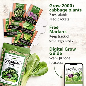 7 Cabbage Seeds for Planting - 2000+ Heirloom & Non-GMO Seeds - Golden Acre, Bok Choy, Savoy, Michihili, Red Acre, Copenhagen Market, Jersey Wakefield Cabbages - Garden Vegetable Lettuce Seeds