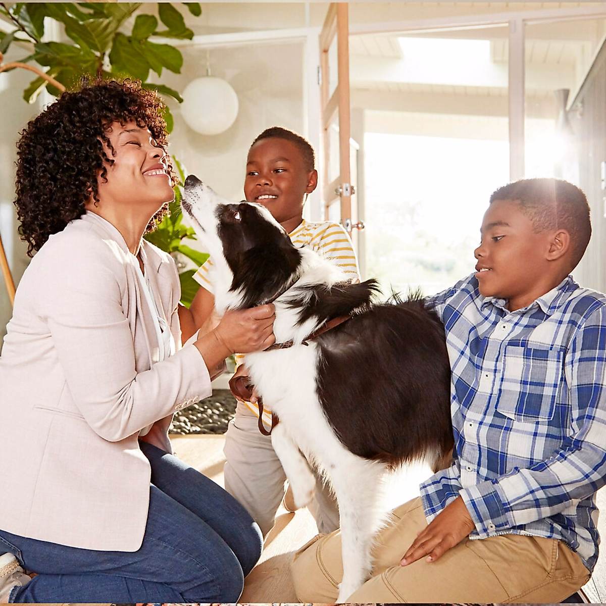 Filtrete 18x24x1 AC Furnace Air Filter, MERV 5, MPR 300, Capture Unwanted Particles, 3-Month Pleated 1-Inch Electrostatic Air Cleaning Filter, 6-Pack (Actual Size17.81x23.81x0.81 in)