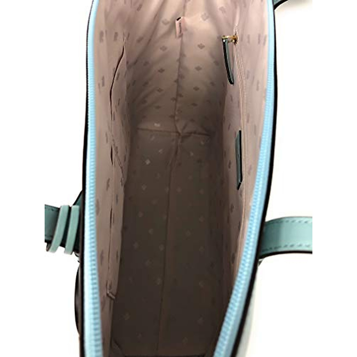 Kate Spade New York Cassy Leather Tote Bag (Frosted Spearmint)