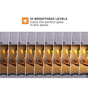 BLACK+DECKER 3-Pack LED Puck Light Kit, Warm White (LEDUC-PUCK-3WK)