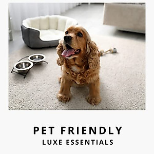 The Diamond Life Home 'Citrus' Lemon & Mango Carpet Powder, Mattress & Upholstery Freshener, Odor Eliminator, Deodorizer For Homes With Kids & Pets