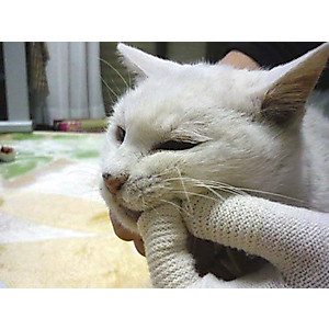 Toothbrush for cats easy to use made in Japan Kenko care by Mind Up