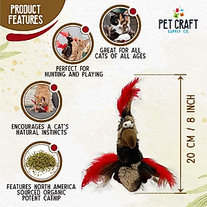 Pet Craft Supply Co. Kitty Condor Crazy Catnip Cuddler Funny Cuddling Chasing Hunting Irresistible Stimulating Soft Plush Boredom Relief Interactive Cat Toy with Realistic Feathers, All Breed Sizes